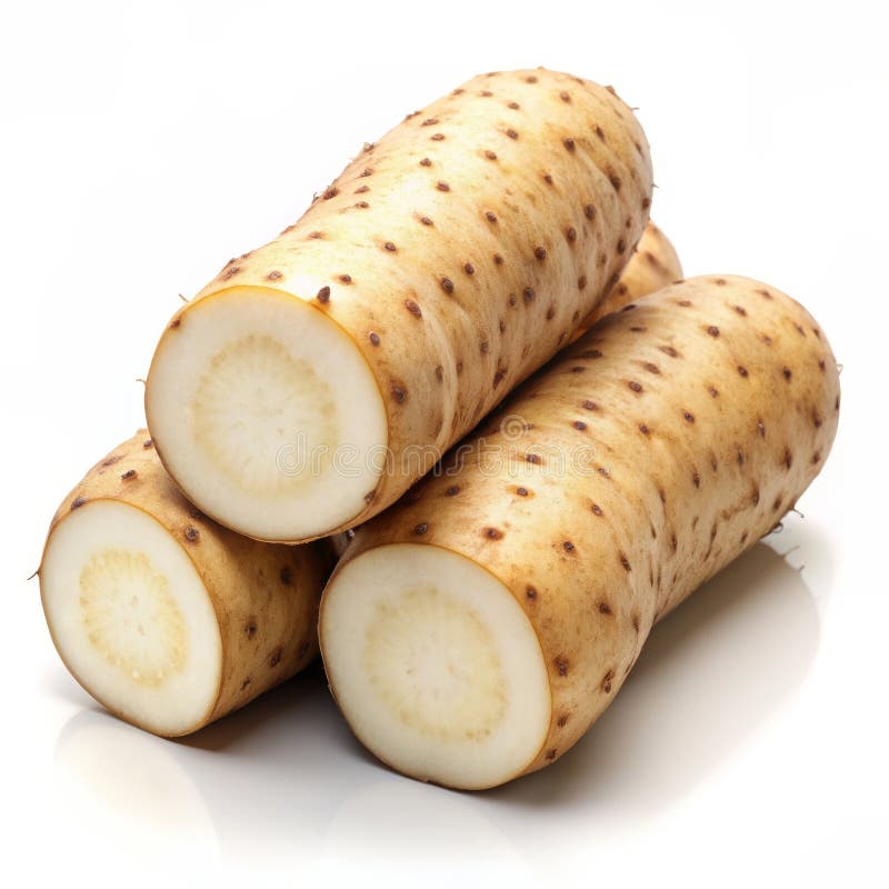 Fresh Chinese Yam Isolated on White Stock Illustration - Illustration ...