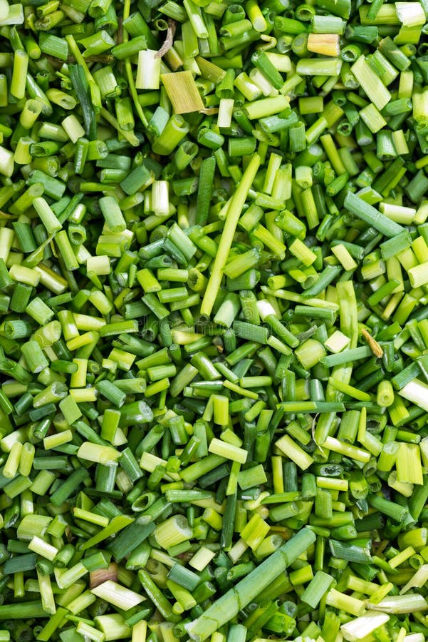 Cive stock image. Image of green, summer, spice, cooking - 17753413