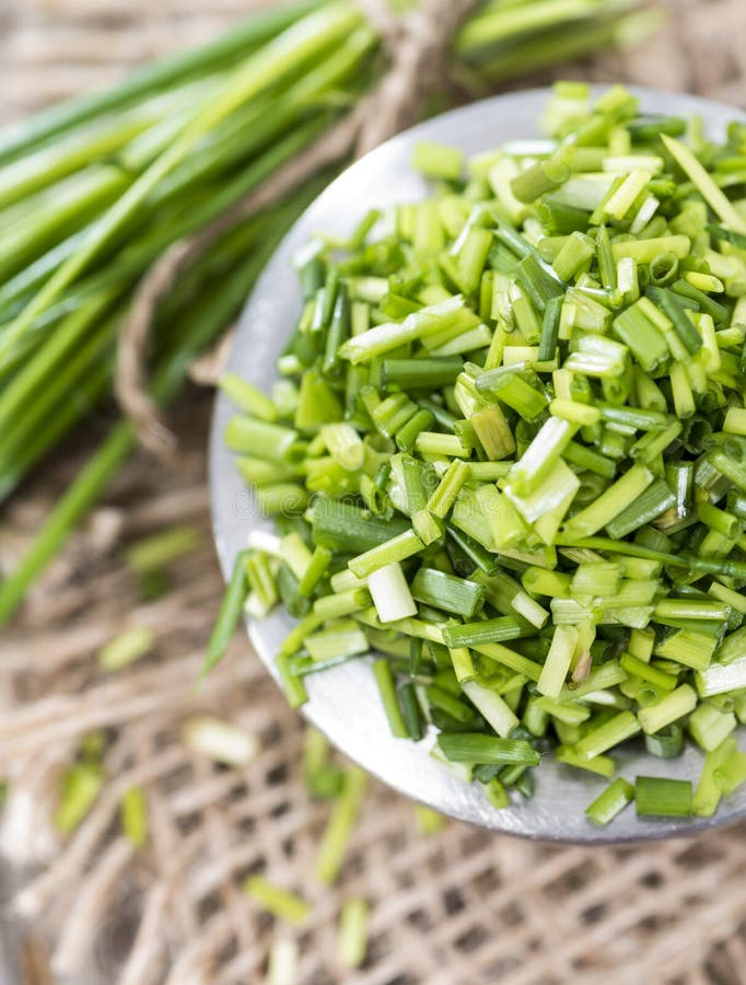 Fresh Chive stock image. Image of freshness, food, ingredient - 38953801