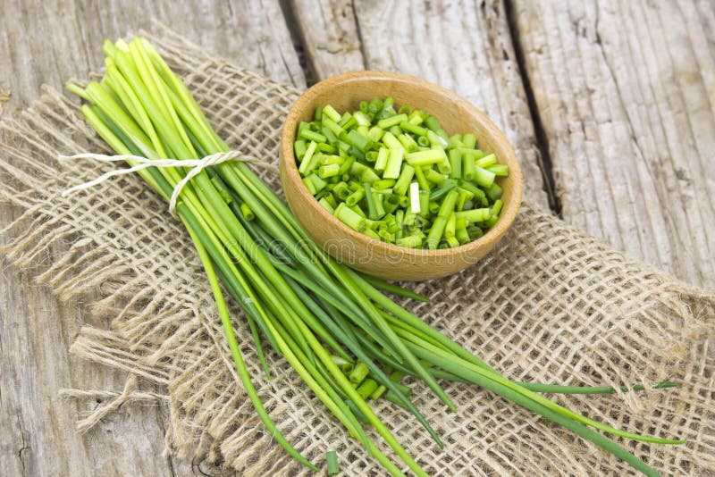 Fresh Chive Blossoms in a Vase Stock Photo - Image of aromatic ...