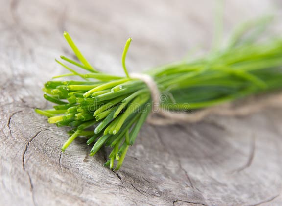 Fresh chive stock photo. Image of crush, grinder, organic - 30571762