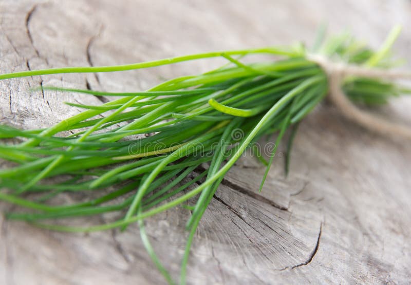 Fresh chive stock photo. Image of medicine, natural, preparation - 30571768