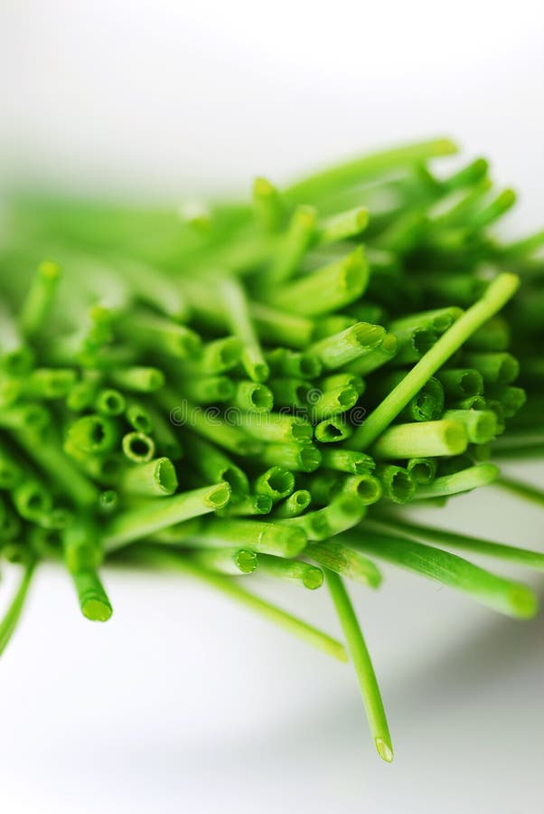 Fresh chives stock image. Image of cooking, cook, spiral - 12694567