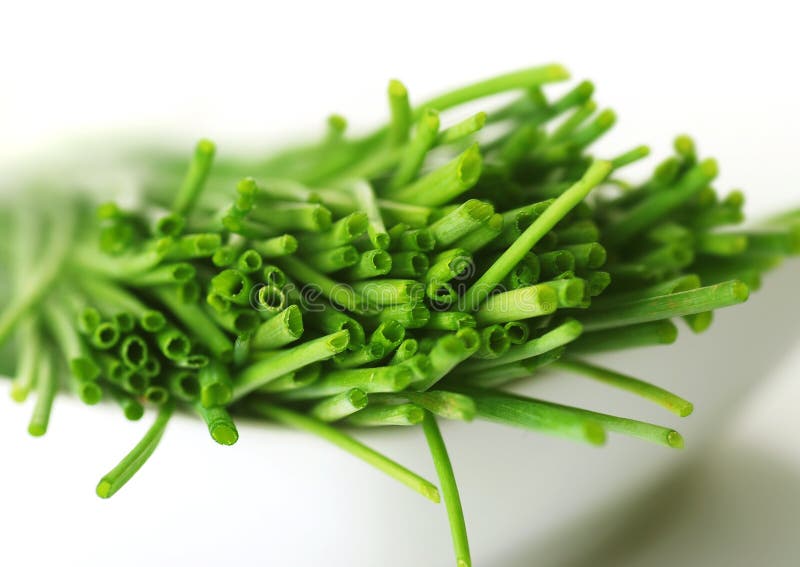 Fresh chives stock photo. Image of onion, fresh, diet - 12694568