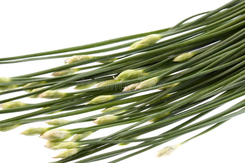 Fresh chives stock image. Image of stack, onion, group - 6038583