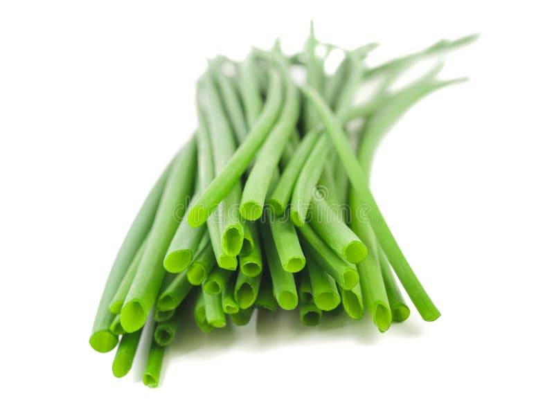 Fresh Chives bunch stock photo. Image of condiment, bundle - 83864966