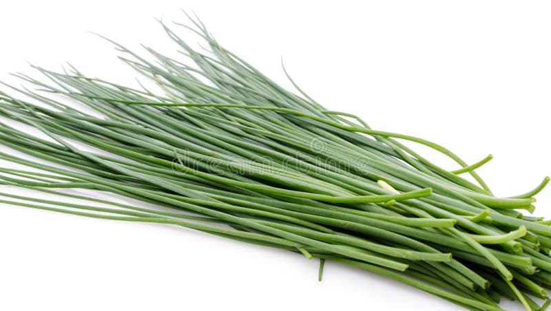Fresh chives stock image. Image of food, herb, nature - 57856997