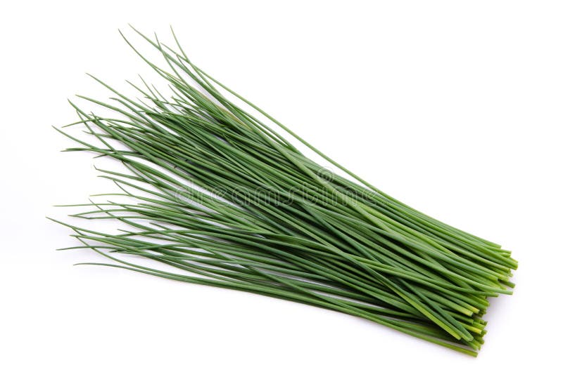 Chives stock photo. Image of herb, vegetables, chive - 22705242