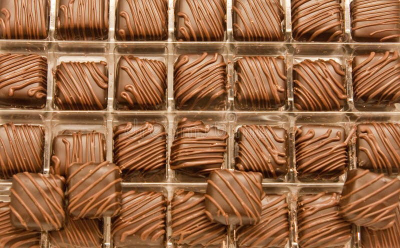 Fresh Chocolates stock photo. Image of diet, candy, fresh - 16483774