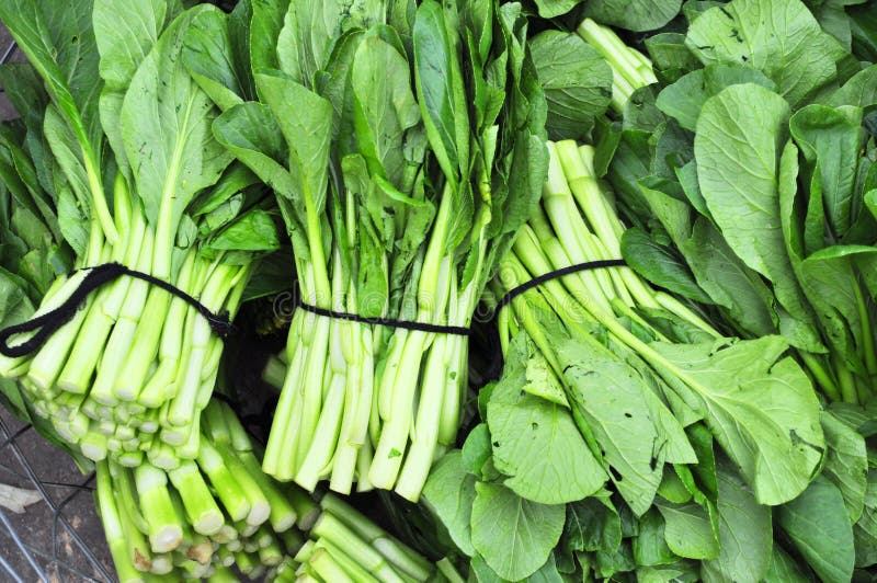 Fresh choi sum stock photo. Image of young, market, choi - 20879700