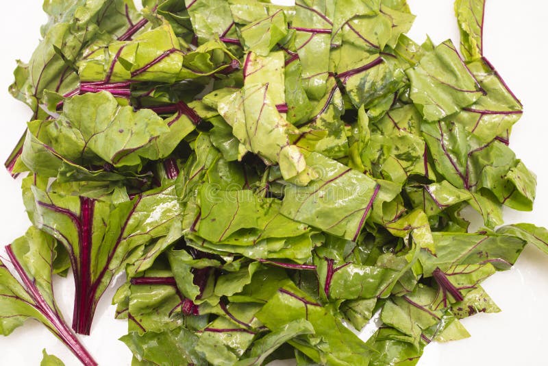 Fresh Chopped Beet Leaves Cut Up for a Recipe Stock Image - Image of ...