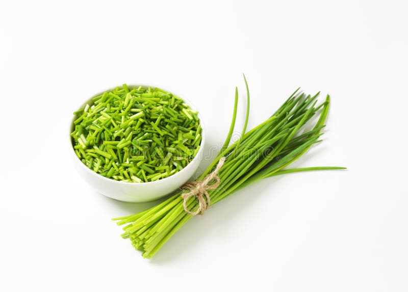 Fresh chopped chives stock photo. Image of organic, plant - 143921556