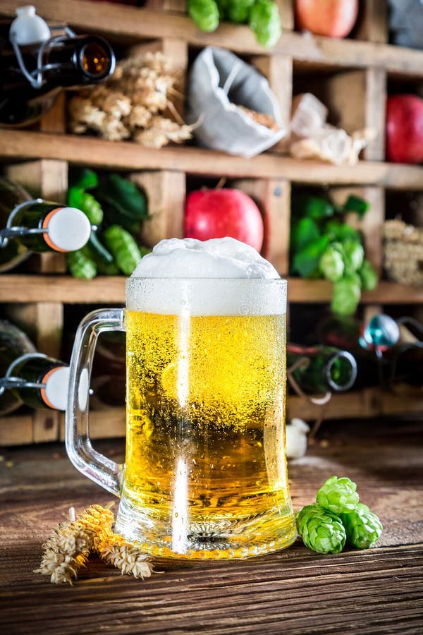 Fresh Cider Beer and Ingredients Stock Image - Image of food ...