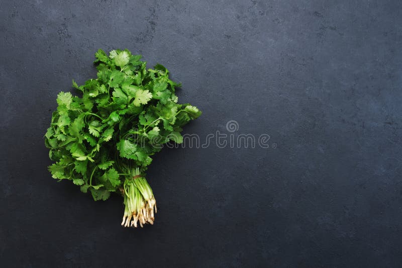 Fresh Cilantro or Coriander, Chili and Jalapeno Peppers, Avocado, Lime ...