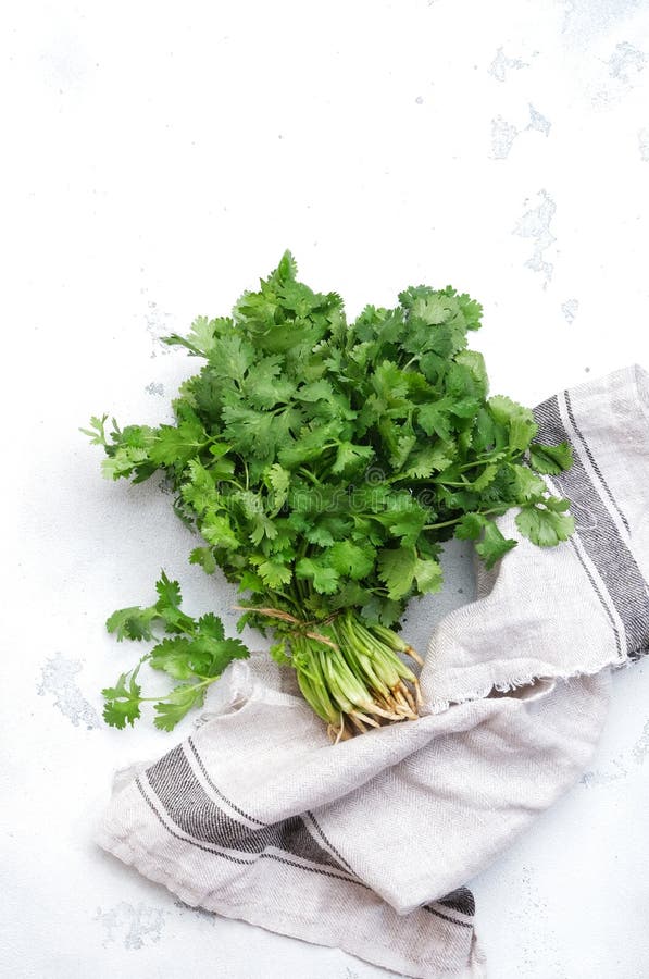 Fresh Cilantro or Coriander Leaves in Bunch. White Kitchen Table ...