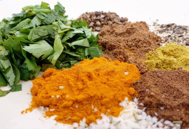 Cilantro and Spices stock photo. Image of coriander, cilantro - 29824054