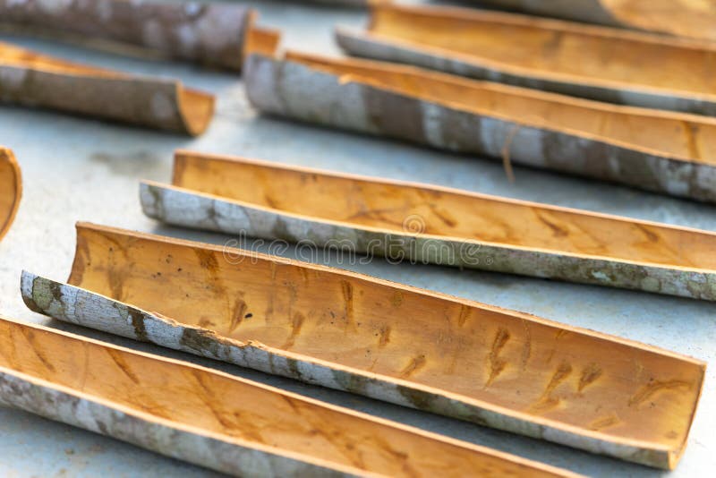 Cinnamon Sticks Drying Sun Stock Photos - Free & Royalty-Free Stock ...