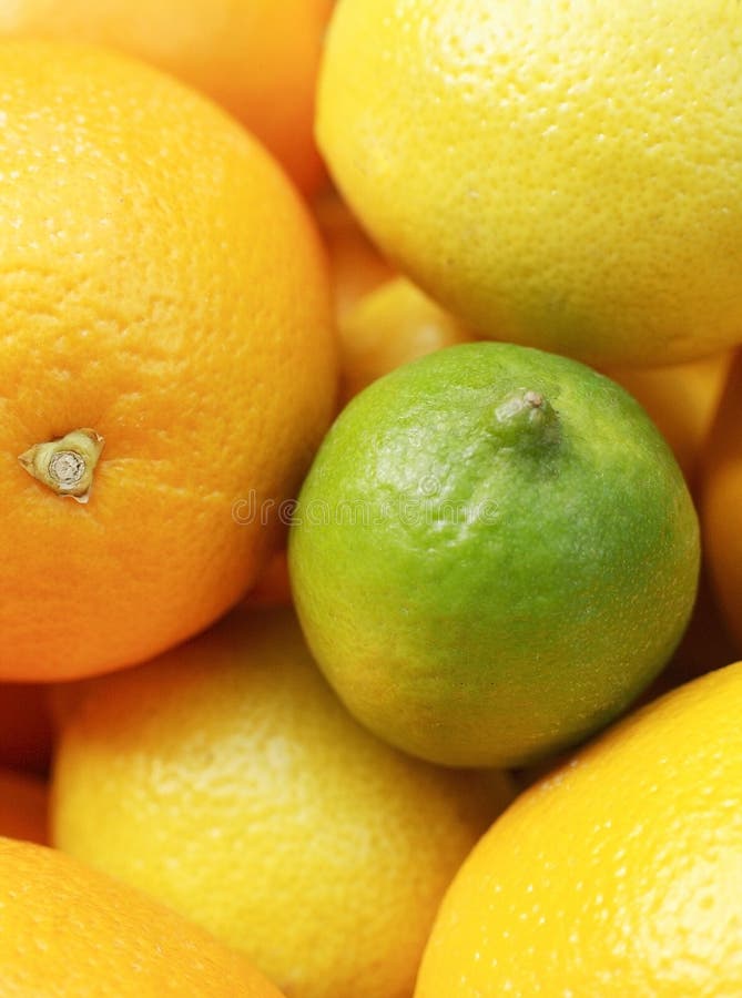 Fresh citrus fruits stock photo. Image of healthy, nature - 2672320