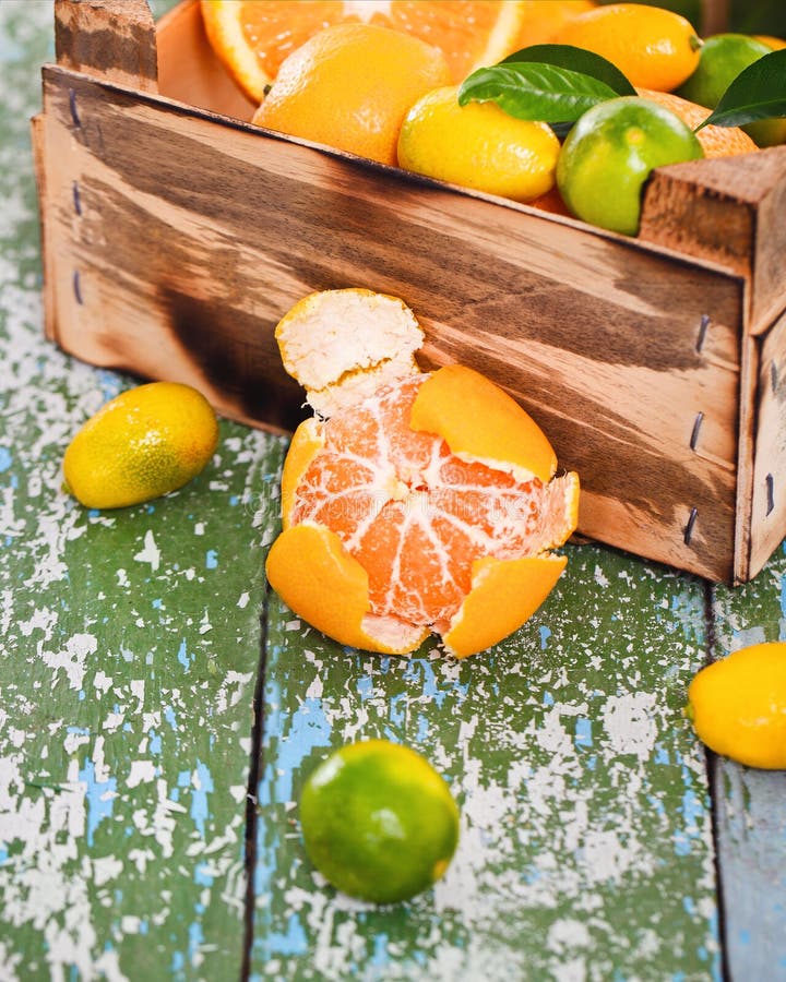 Fresh citrus fruits stock image. Image of slice, closeup - 28148667