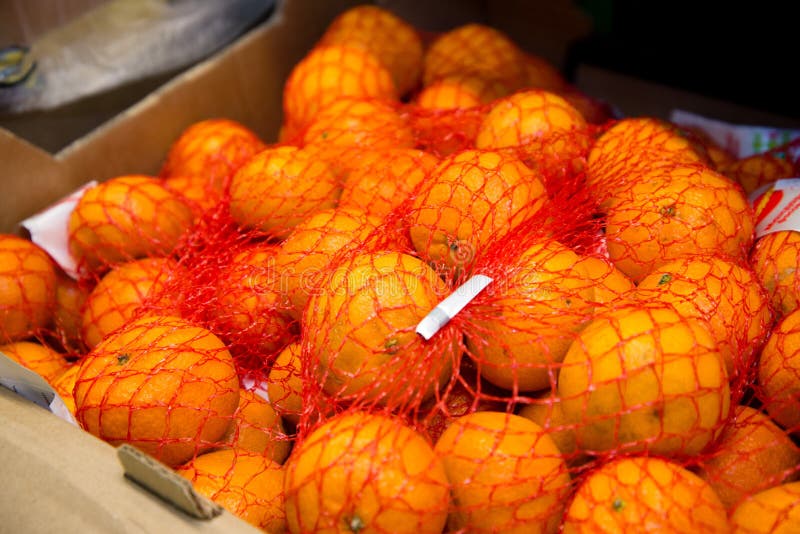 Fresh Citrus Fruits are on the Counter in the Store Stock Photo - Image ...