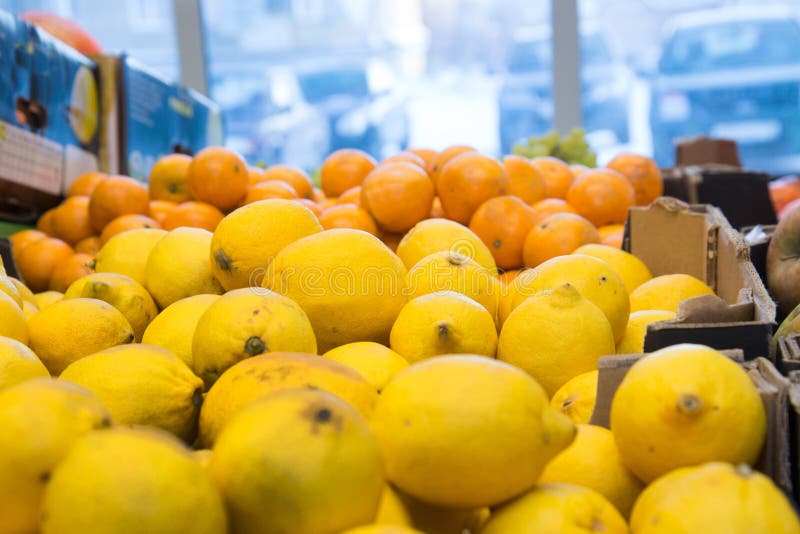 Fresh Citrus Fruits are on the Counter in the Store Stock Photo - Image ...