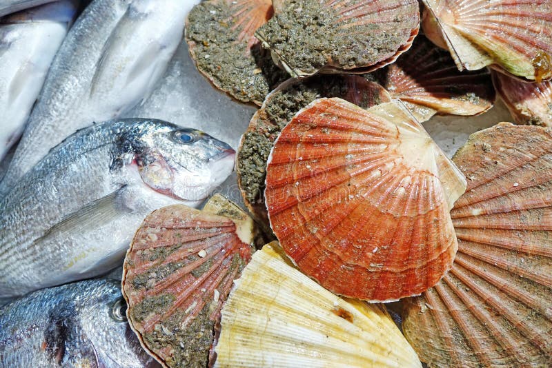 Clams in fish market stock image. Image of heap, abstraction - 101242805