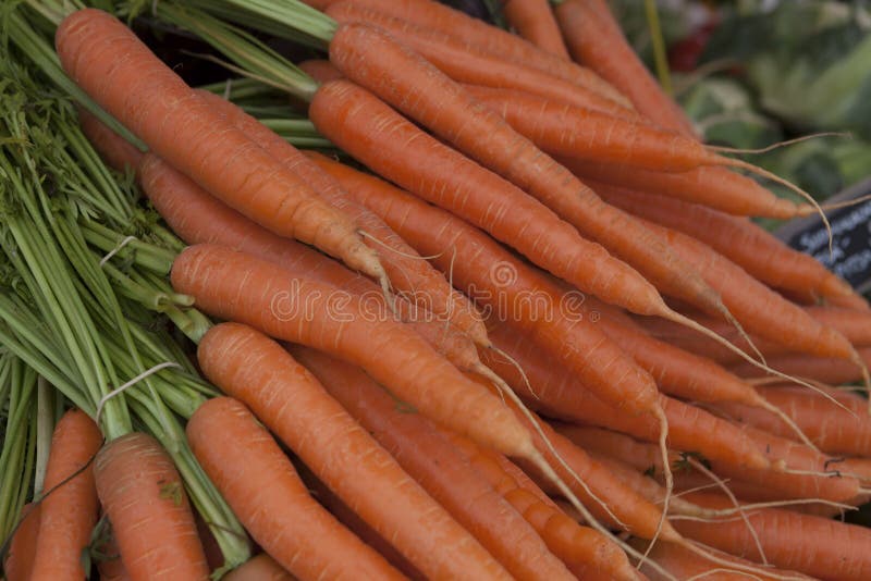 Fresh Clean Carrots with Foliage on the Market Stock Image - Image of ...
