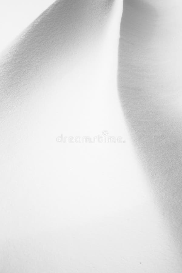 White Snow texture stock photo. Image of cold, weather - 105635924