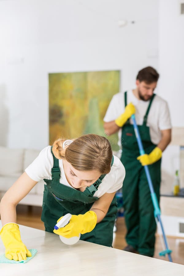 So fresh and so clean! stock photo. Image of cleaner - 65754342