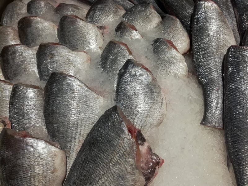 Fresh Cleaned Fishes without Head on Ice Stock Image - Image of river ...