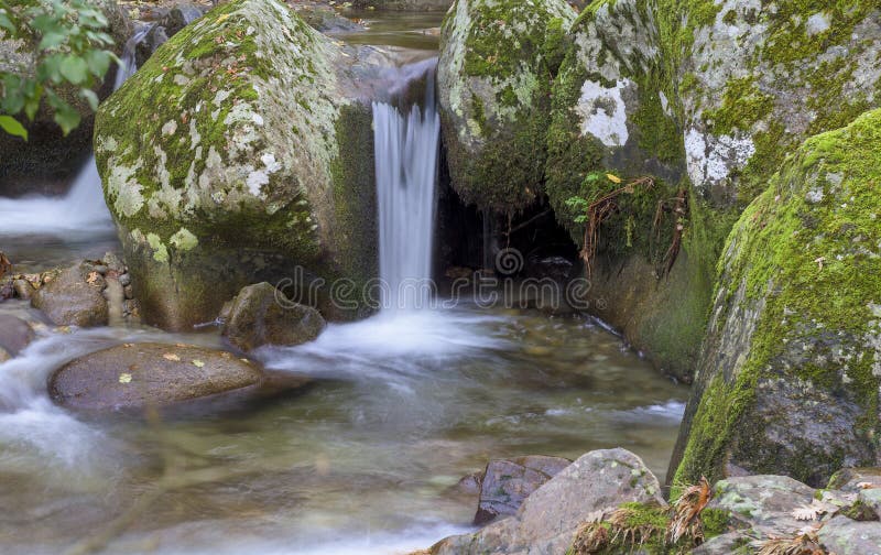 Fresh Clear Spring Water with Stones and Moss at the Source of the ...