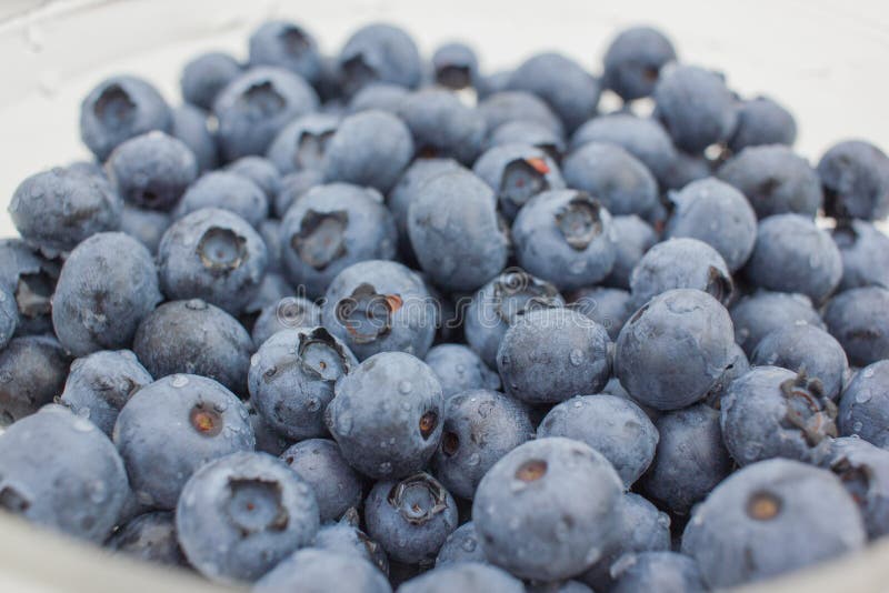 Fresh close up blueberries stock photo. Image of organic - 99520578