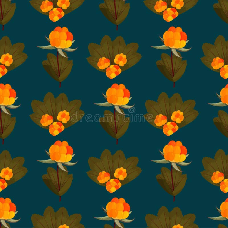 Cloudberry Painting Stock Illustrations – 45 Cloudberry Painting Stock Illustrations, Vectors ...