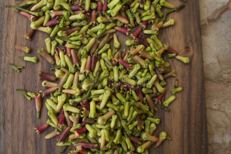 Fresh cloves on wood stock image. Image of texture, aroma - 329635129