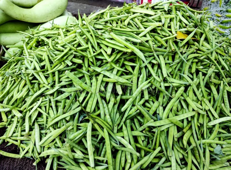 Fresh Cluster Beans Gwar Fali Stock Image - Image of uncooked, harvest ...