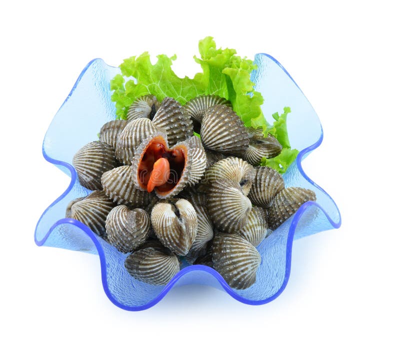 Shellfish stock photo. Image of detail, nature, fishing - 34466930