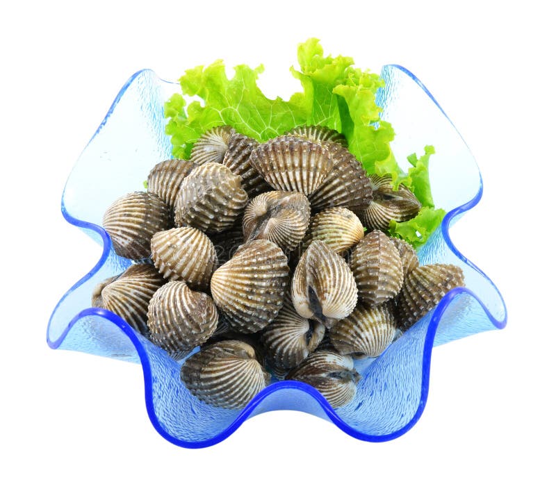 Shellfish stock photo. Image of detail, nature, fishing - 34466930