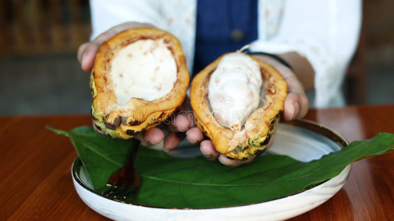 Fresh Cocoa Pod Cut Exposing Cocoa Seeds, White Seed and Pulp. Stock ...