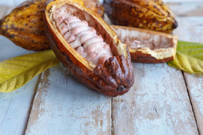 .Fresh Cocoa Pods and Cocoa Leaves on Wooden Background Stock Photo ...