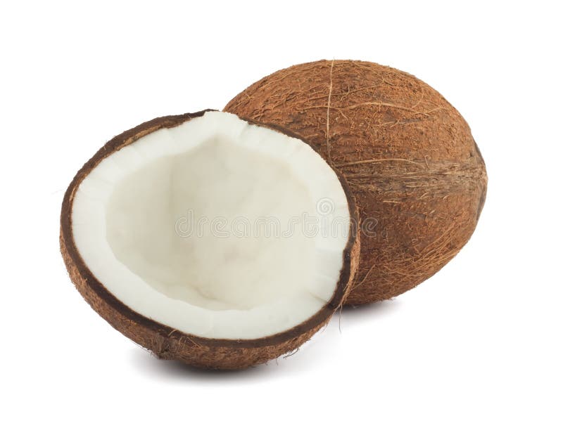 Coconut stock image. Image of healthy, plant, fresh, gourmet - 28008295