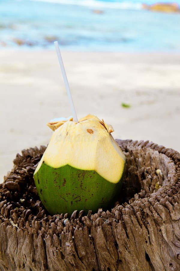 Fresh coconut stock image. Image of exotic, drink, drinking - 21257913