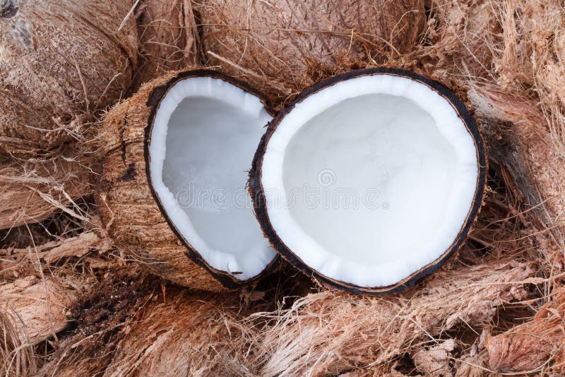 Fresh Coconut on Brown Shell. Stock Photo - Image of sweet, isolated ...