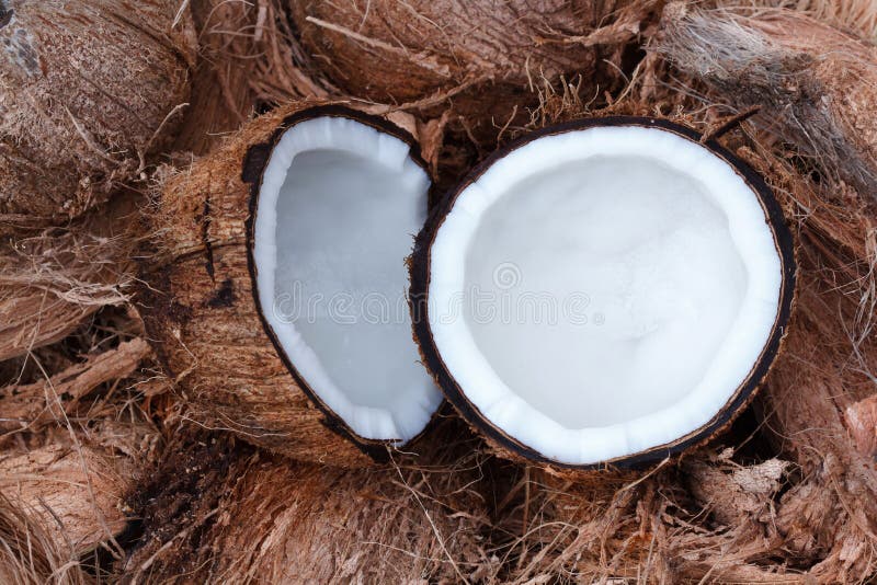 Fresh Coconut on Brown Shell. Stock Image - Image of exotic, tropical ...