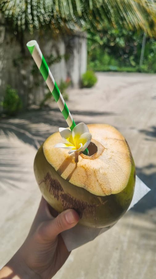 Fresh Coconut Cocktails with Umbrellas in Hands Stock Image - Image of ...