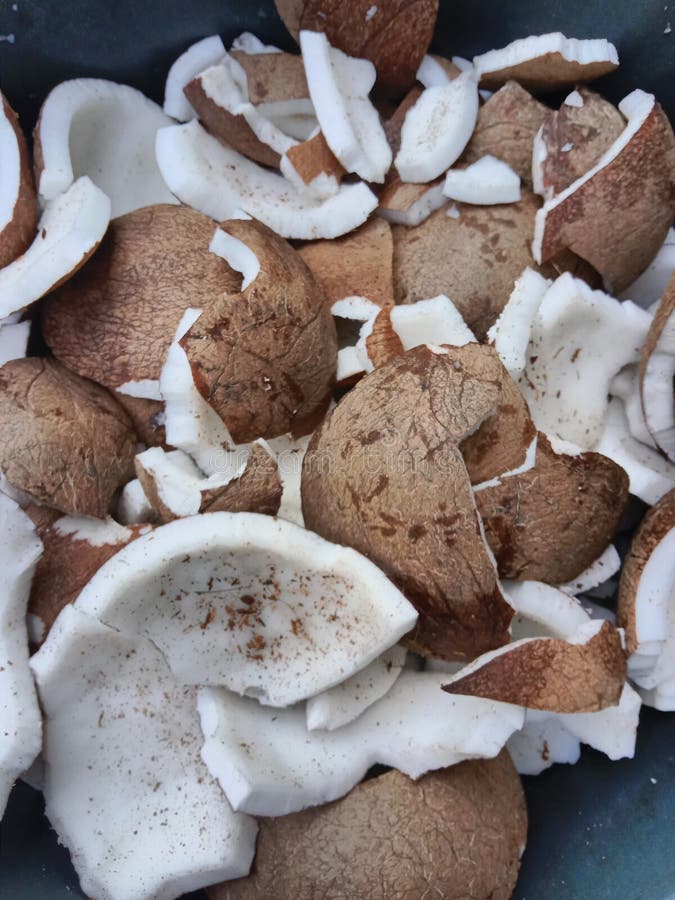 Separated Coconut Meat Stock Photos - Free & Royalty-Free Stock Photos ...