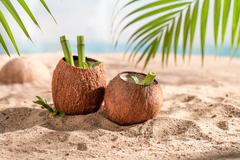 Fresh Coconut Milk in Shell Served on a Sandy Island Stock Photo ...