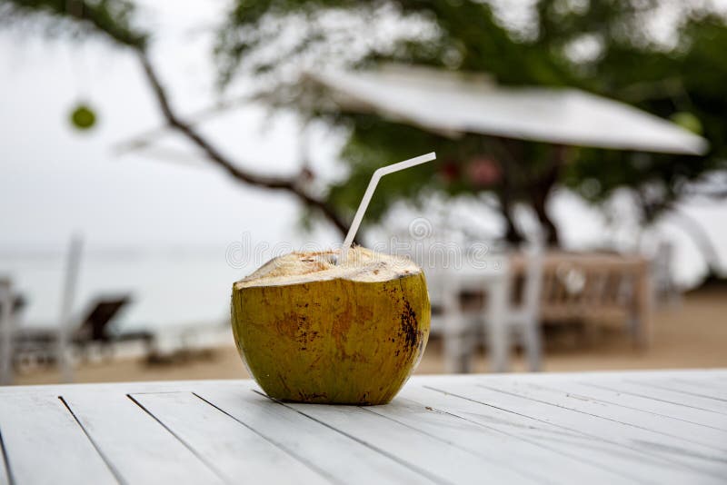 482 Fresh Coconut Ready To Drink Stock Photos - Free & Royalty-Free ...