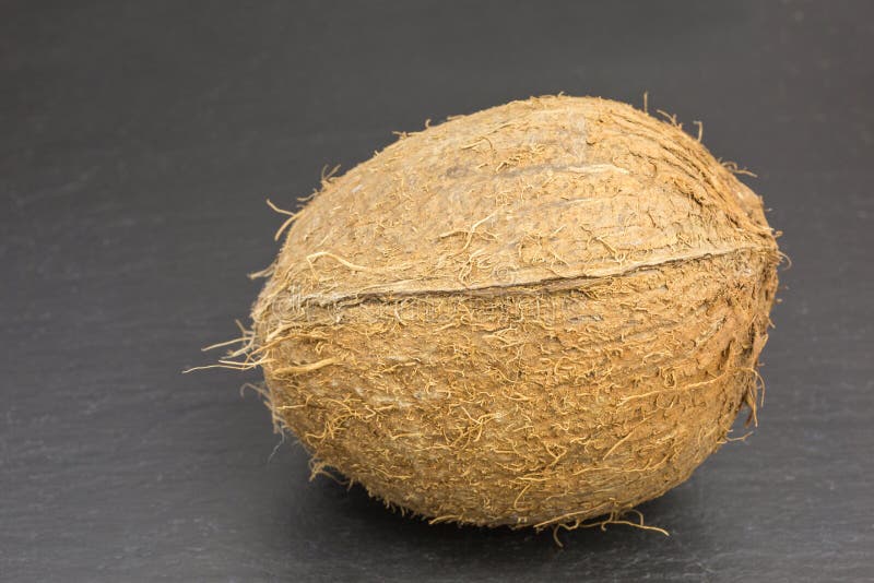 Fresh coconut stock image. Image of hull, pieces, coconut - 151338827