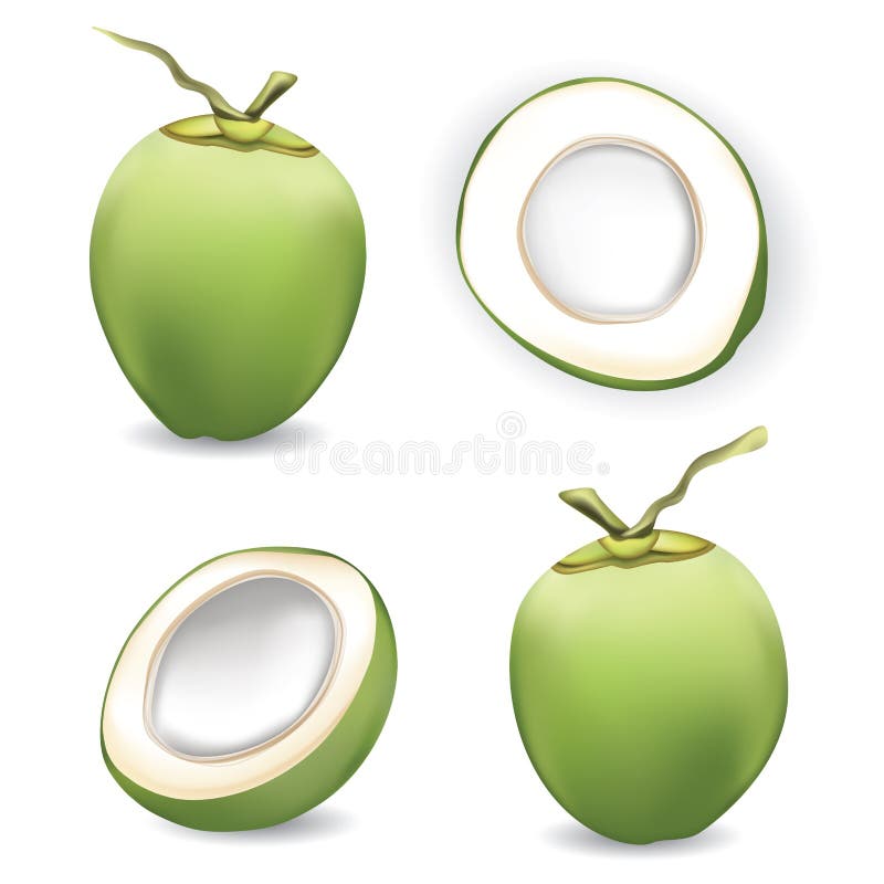 Coconut Slice Stock Illustrations – 10,285 Coconut Slice Stock ...