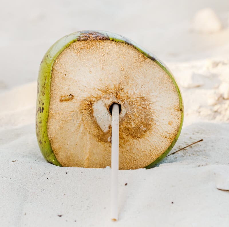 Fresh Coconut with Tube Inside on Sand Stock Image - Image of healthy ...